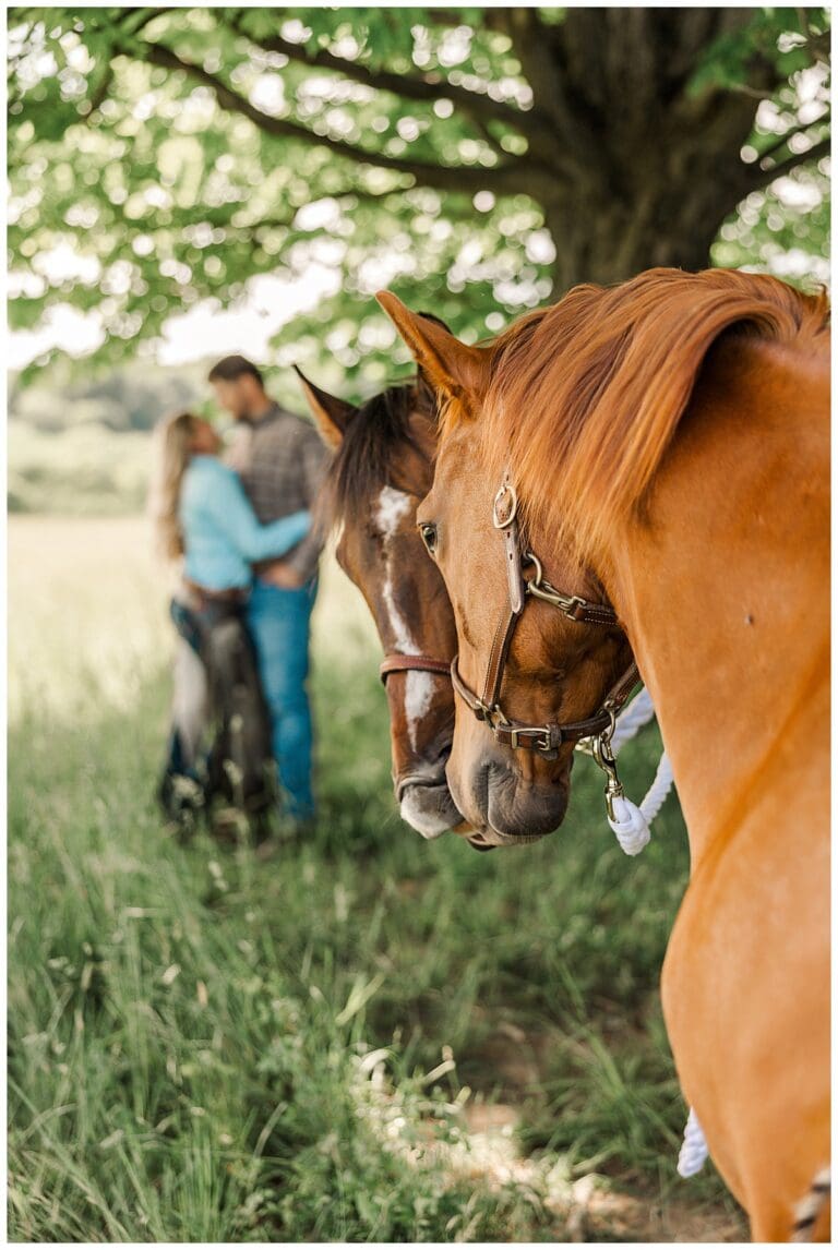 Callie & Jacob - sarahainesphotography.com